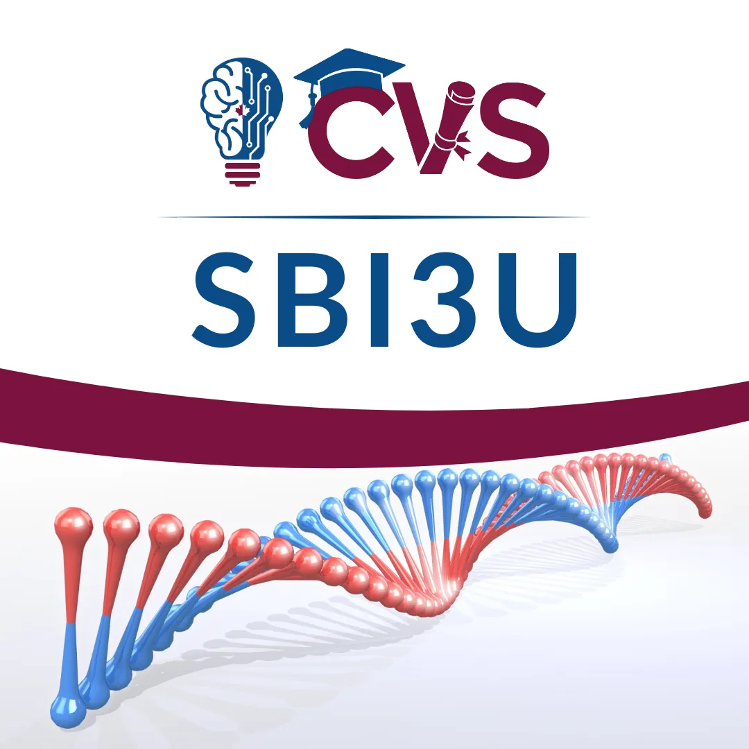 SBI3U | Grade 11 Biology Course | OSSD Credit Online